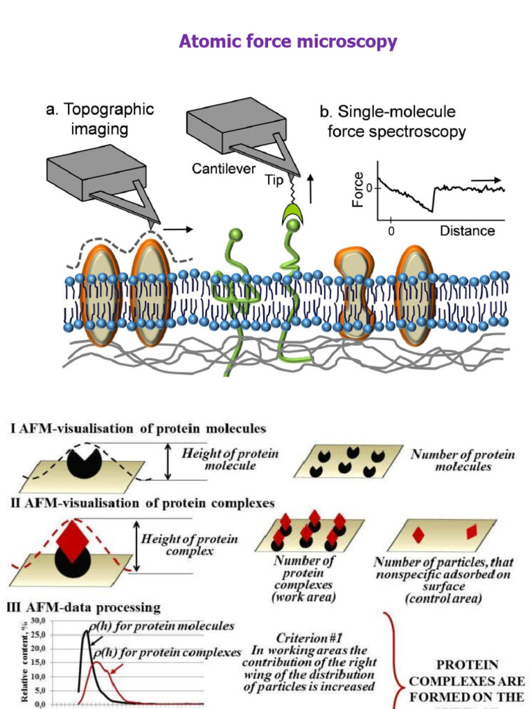 Protein-Protein Interactions-1 | PDF