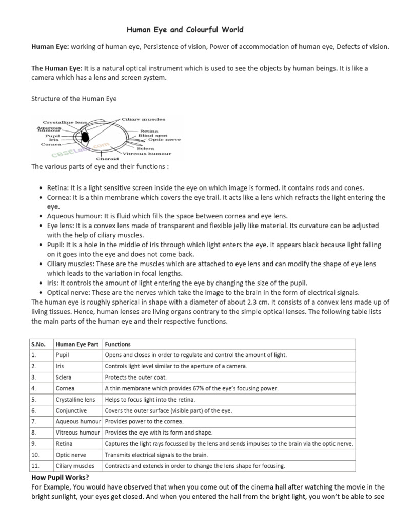 Human Eye 2023 | PDF | Eye | Human Eye