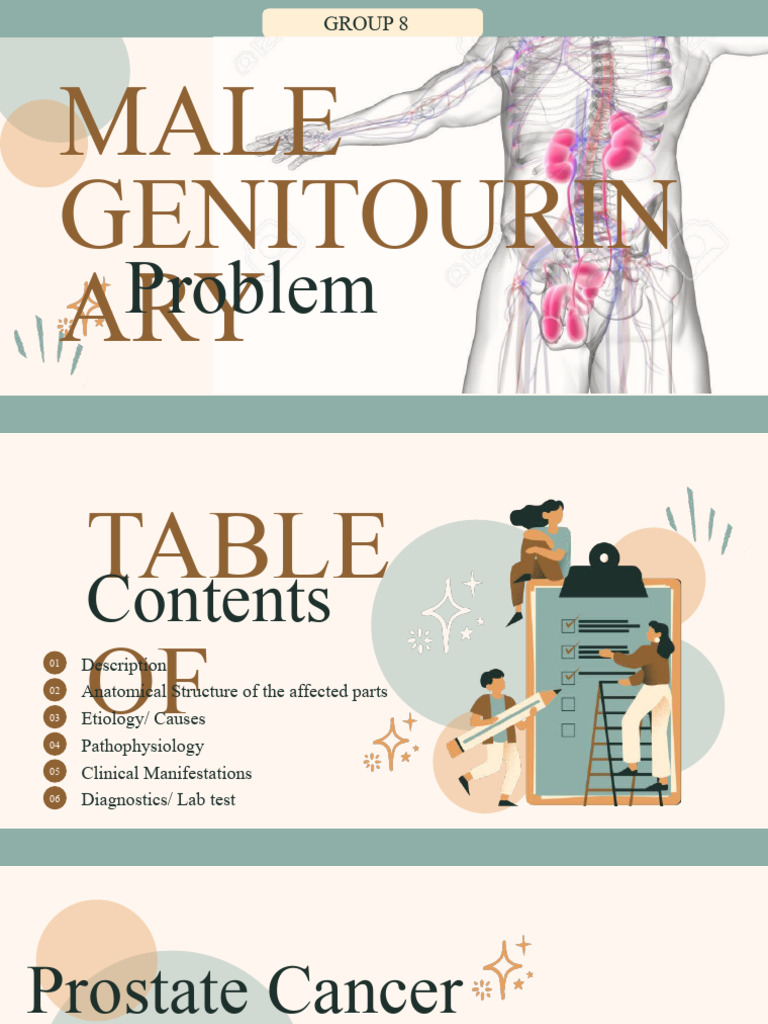 Group 8 Prostate and Testicular Cancer 1 | PDF | Prostate Cancer | Prostate