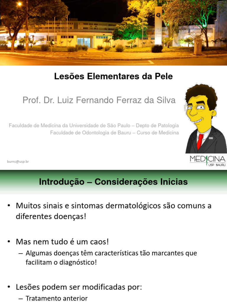 Tipos de Lesões Elementares da Pele | PDF | Dor | Inflamação