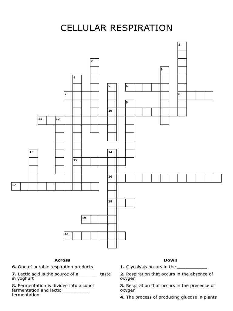 Crossword Respiration | PDF