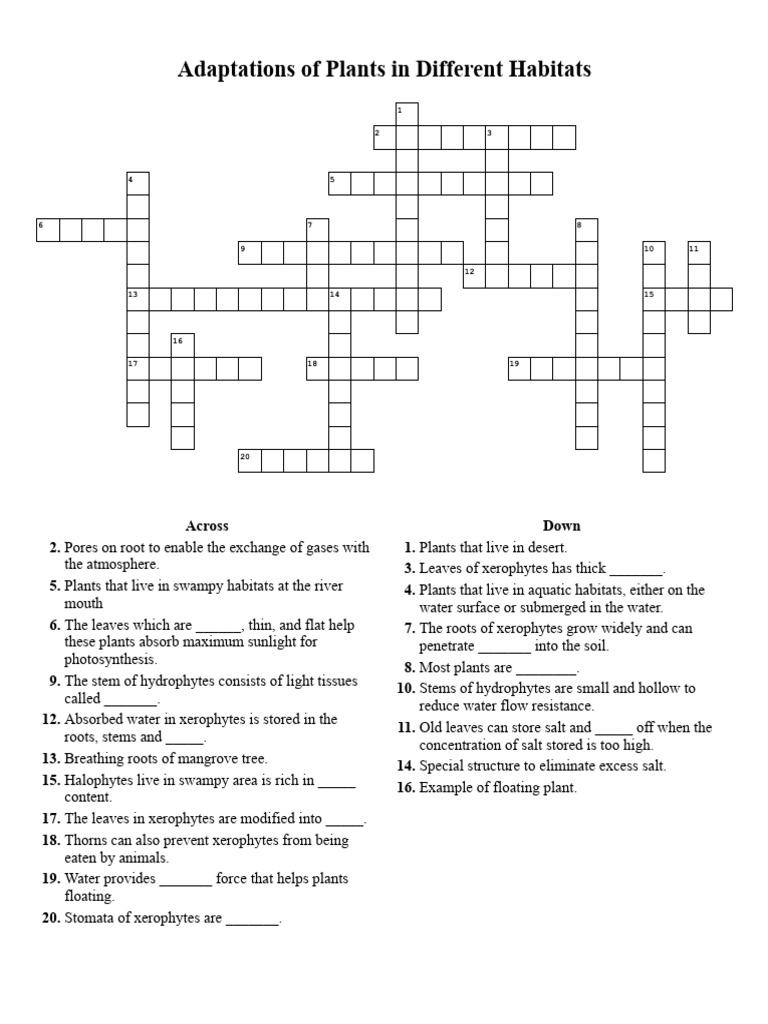 Adaptation of Plants in Different Habitat | PDF | Leaf | Botany