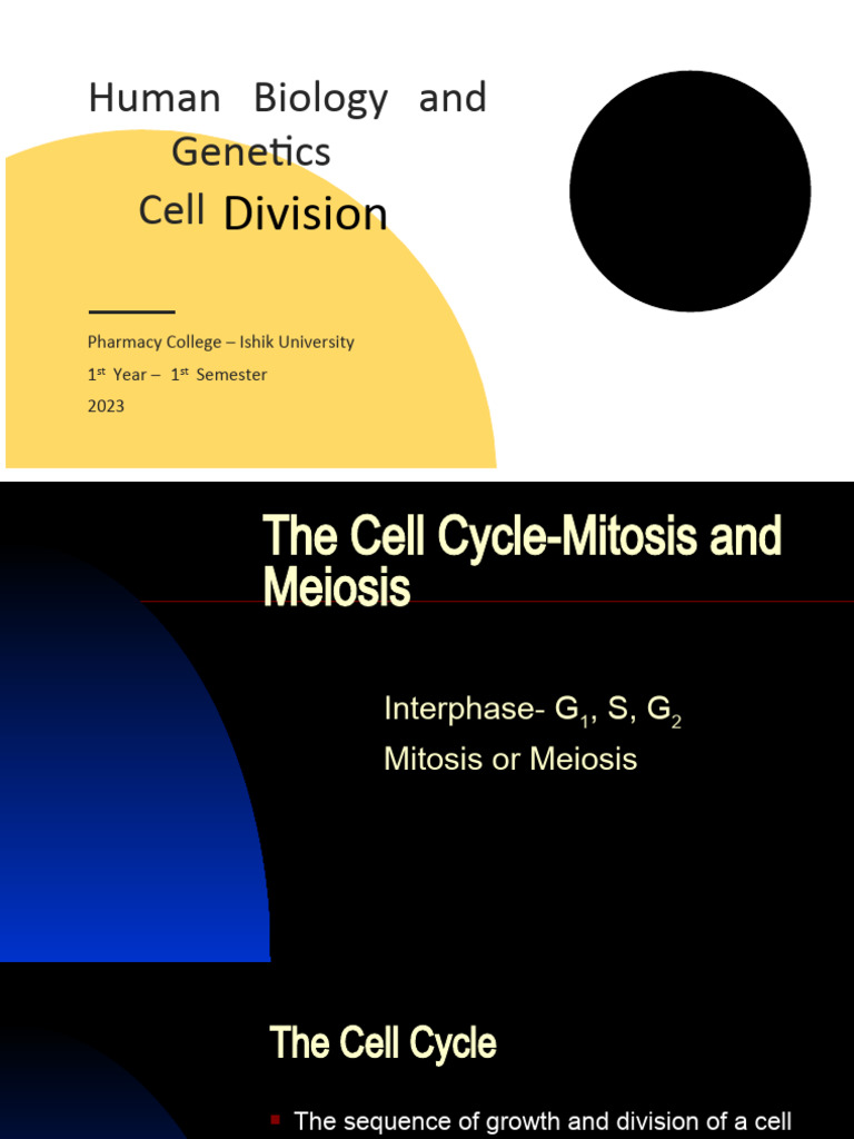 Human Bio and Genetics Week 3 Cell Division Mitosis and Meiosis | PDF ...