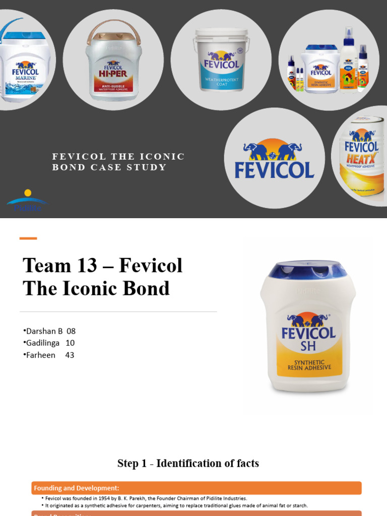 Fevicol Final | PDF | Marketing | Customer Relationship Management