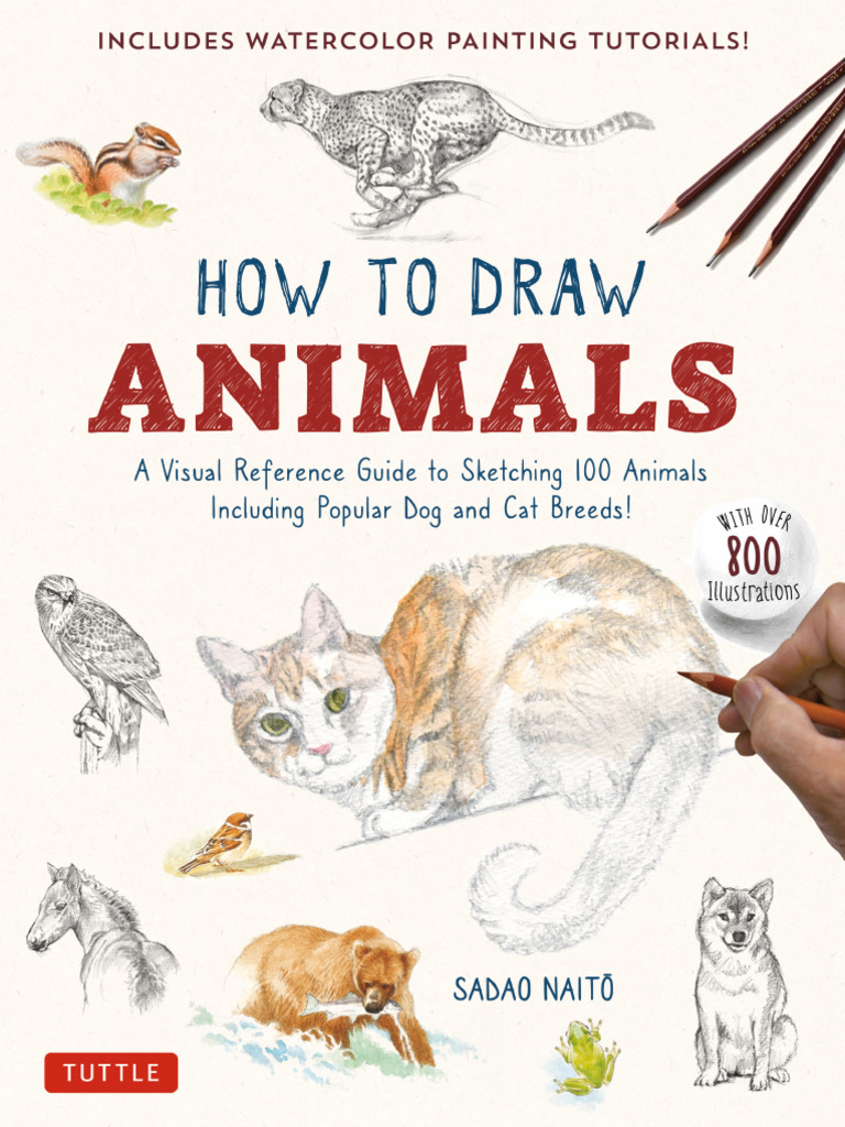E-How To Draw Animals - A Visual Reference Guide To Sketching 100 ...