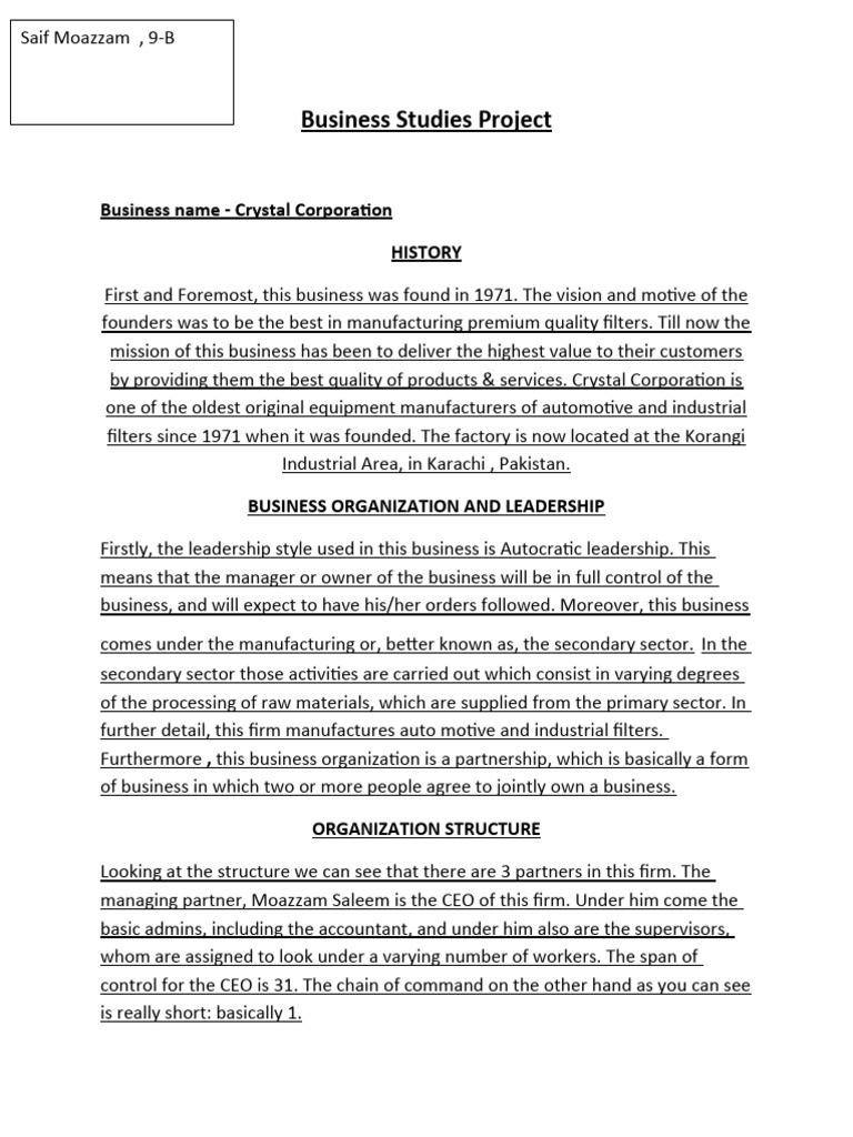 Business Studies Project | PDF | Motivation | Motivational