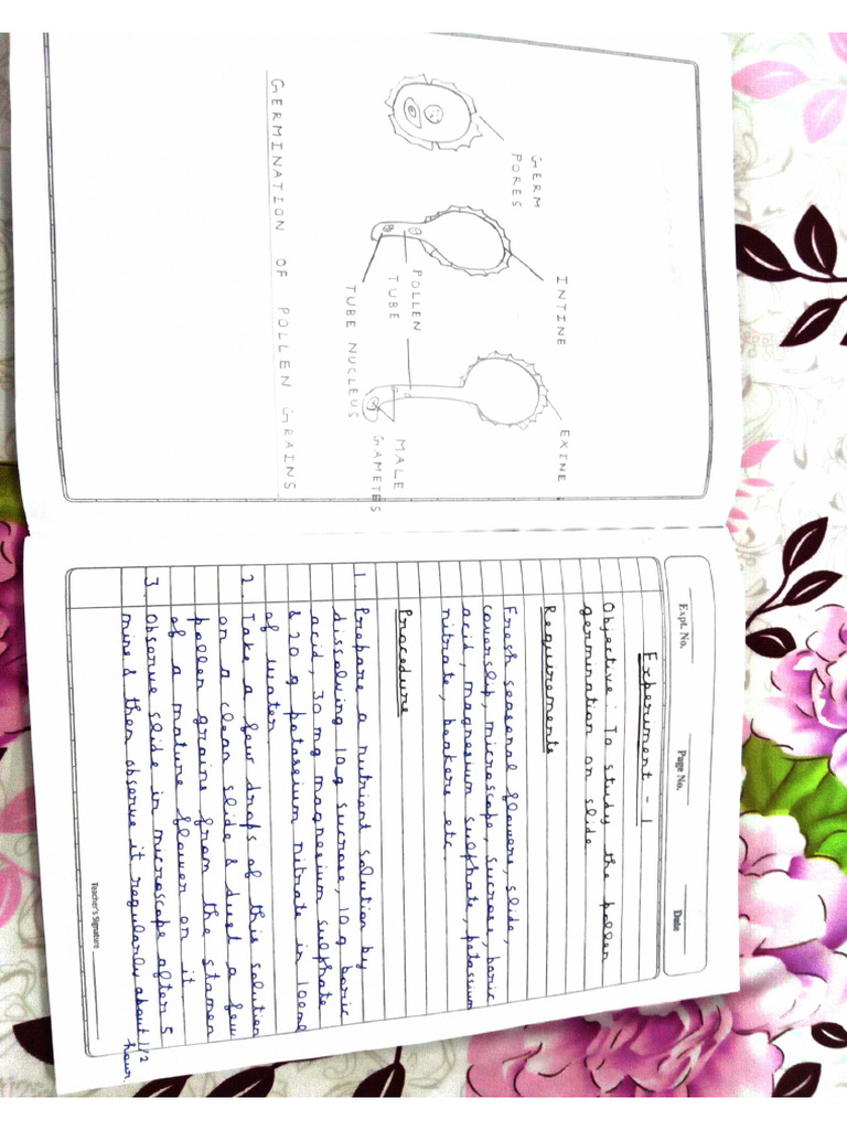 Bio Practicals Pdf