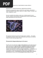 Protocolo Desparasitacao Lunar | PDF