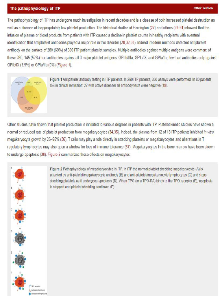 The Pathophysiology of ITP | PDF