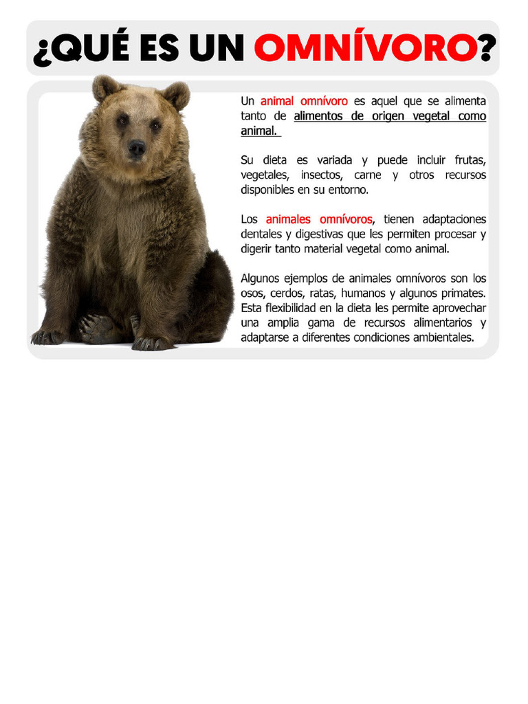 OMNIVOROS | PDF