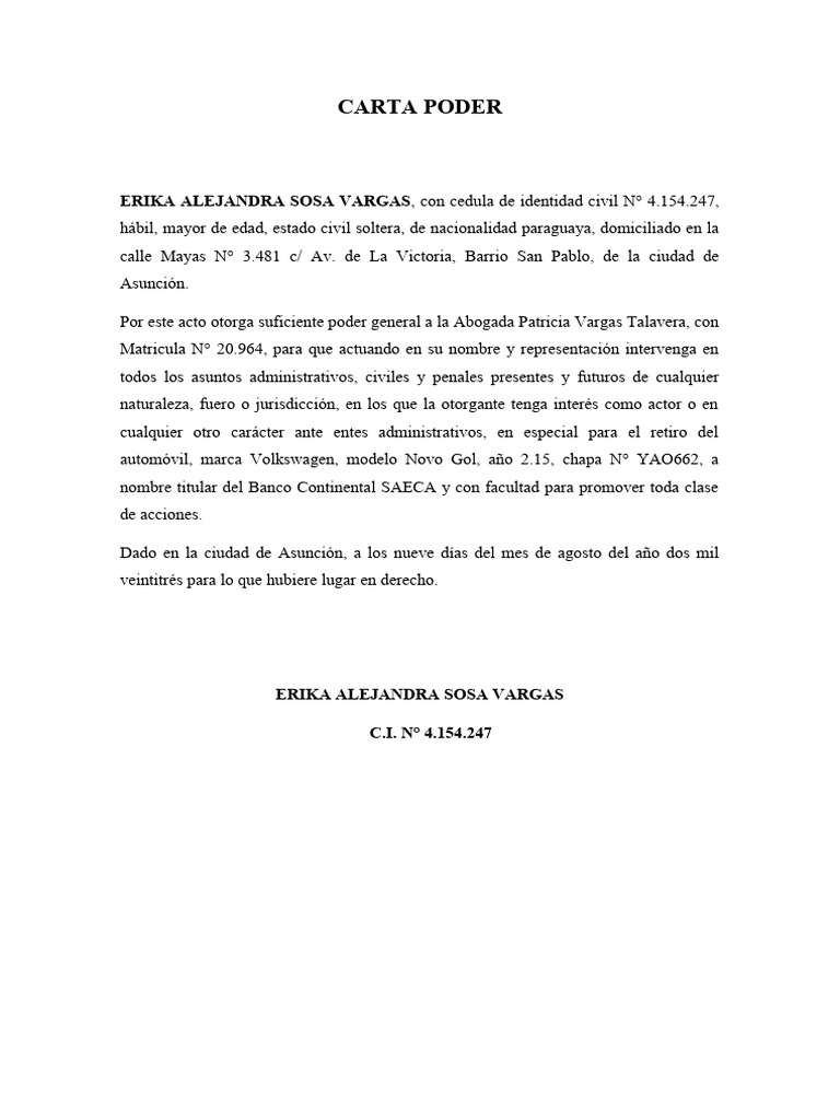 Carta Poder Penal | PDF