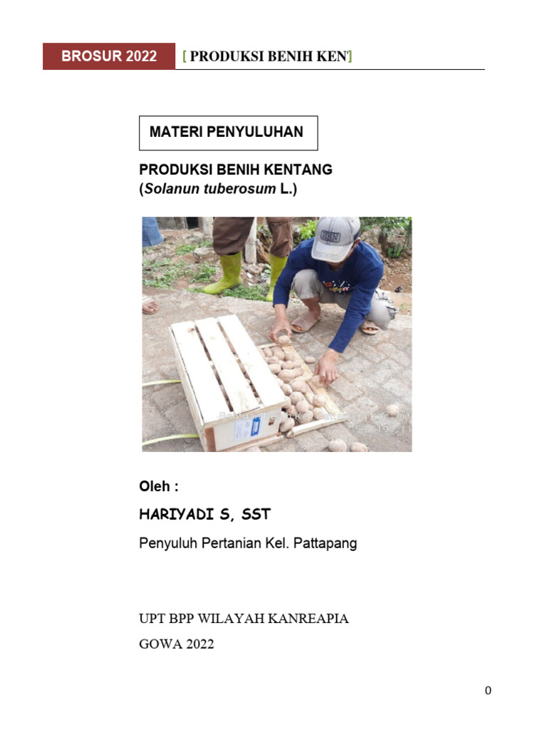 Panduan Produksi Benih Kentang Berkualitas | PDF | Griya & Taman ...