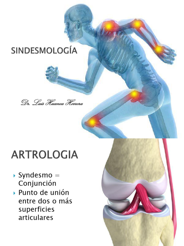 Tema 3 - Sindesmología-3 | PDF