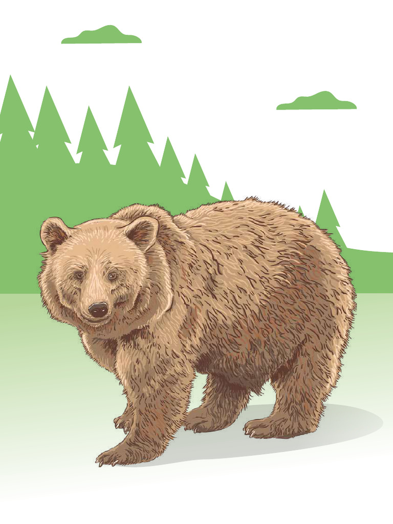 Cards Web Compressed-2 | PDF