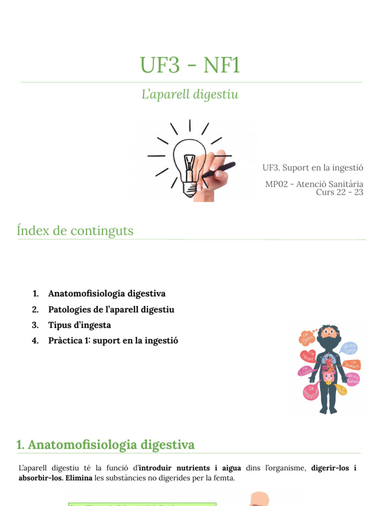 UF3-NF1. L'aparell Digestiu | PDF