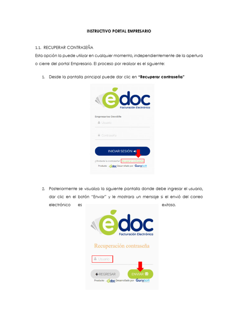 Manual Instructivo | PDF