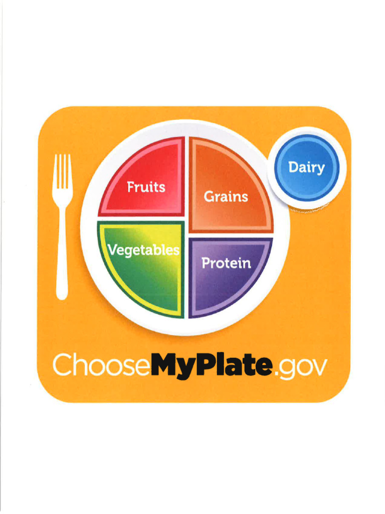 My Plate | PDF