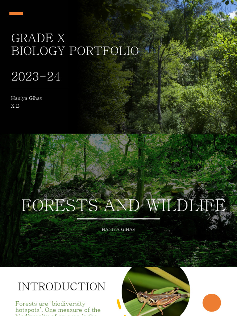 Forest and Wildlife | PDF | Forests | Conservation Biology