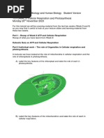 Video Recap Comparing Photosynthesis and Cellular Respiration by Amoeba ...