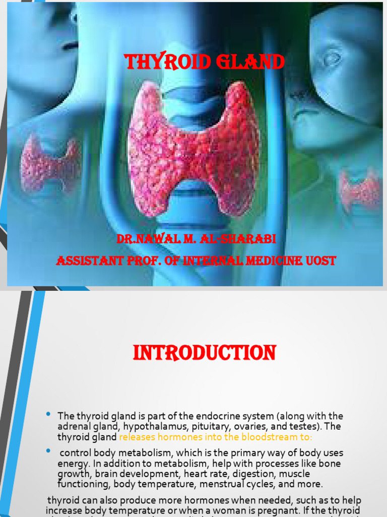 Thyroid | PDF | Hypothyroidism | Thyroid