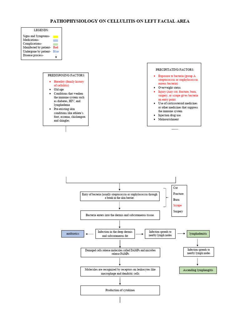 Pathophysiology On Cellulitis On Left Facial Area | PDF | Inflammation ...