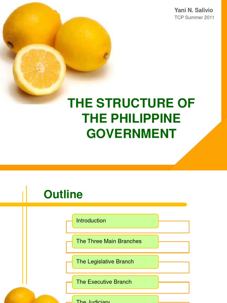 The Structure of The Philippine Government: Yani N. Salivio | PDF ...