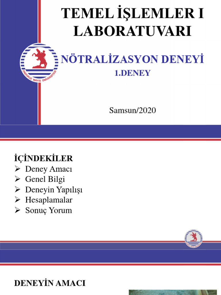 Nötralizasyon Deneyi | PDF