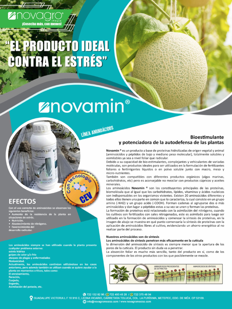 Novamin | PDF