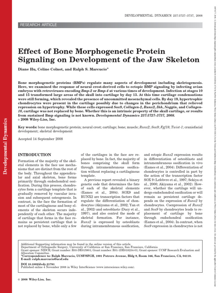 Developmental Dynamics - 2008 - Hu - Effect of bone morphogenetic ...