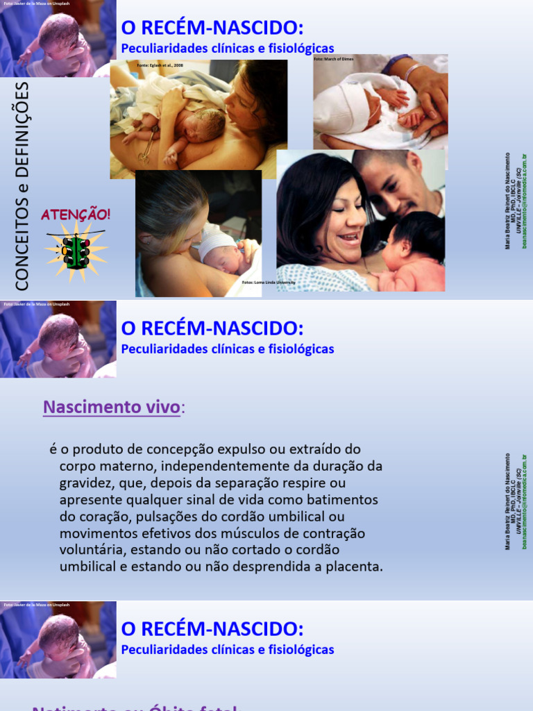 Conceitos e Definicoes 2sem23 | PDF | Taxa de mortalidade | Gravidez