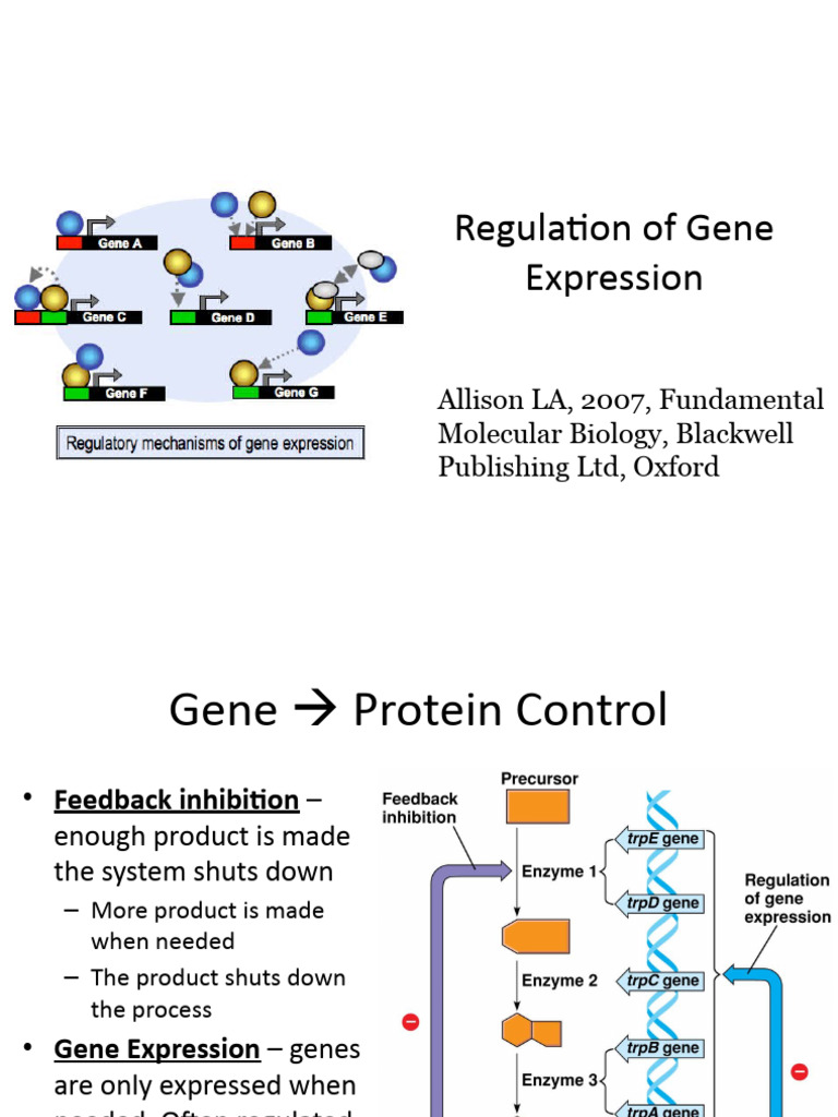Regulasi Ekspresi Gen - Fix | PDF | Operon | Regulation Of Gene Expression