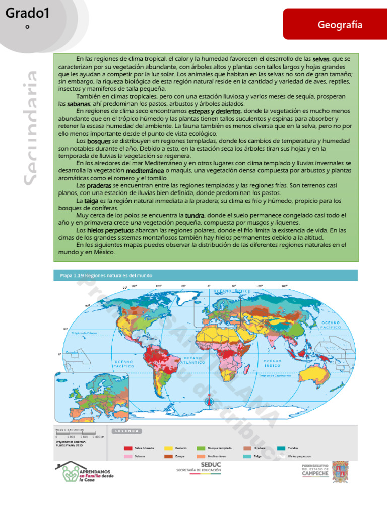 Mapa de Regiones Naturales del Mundo | PDF | Selva | Temporada húmeda