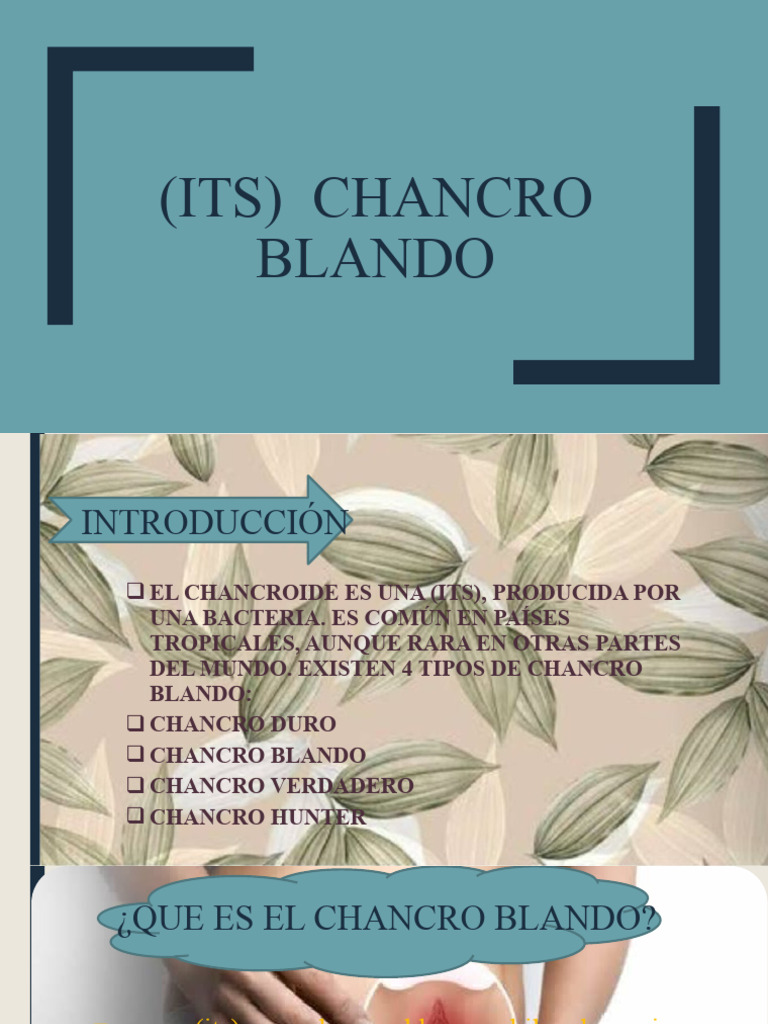 Chancro Blando: Causas y Prevención | PDF | Salud y bienestar