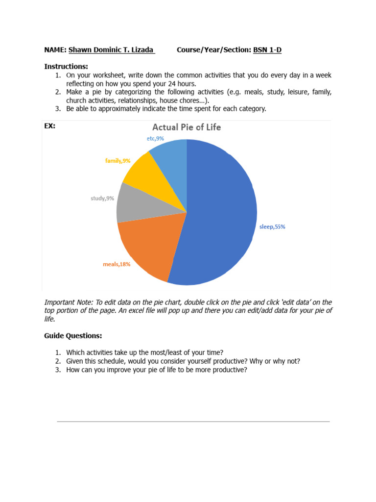 Actual Pie of Life - LizadaBN1D | PDF | Career & Growth | Self-Improvement