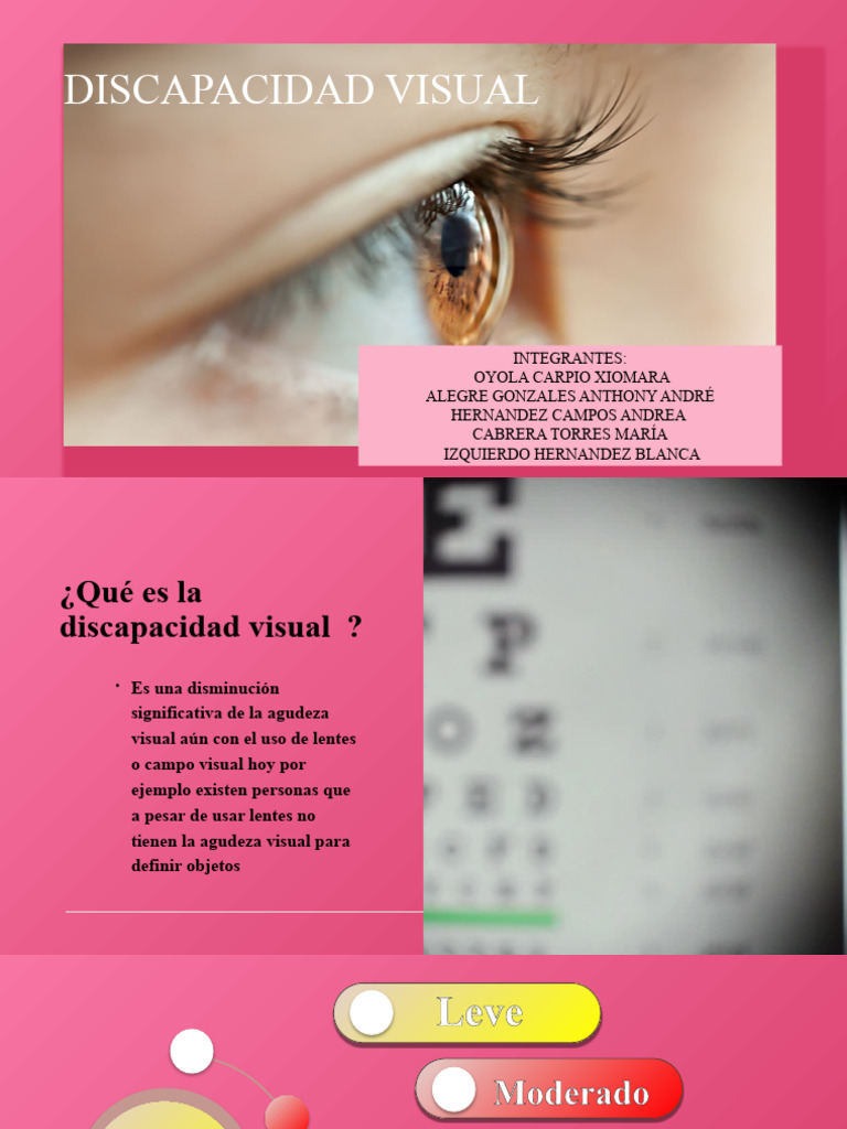 Guía sobre Discapacidad Visual | PDF | Ojo humano | Percepción visual