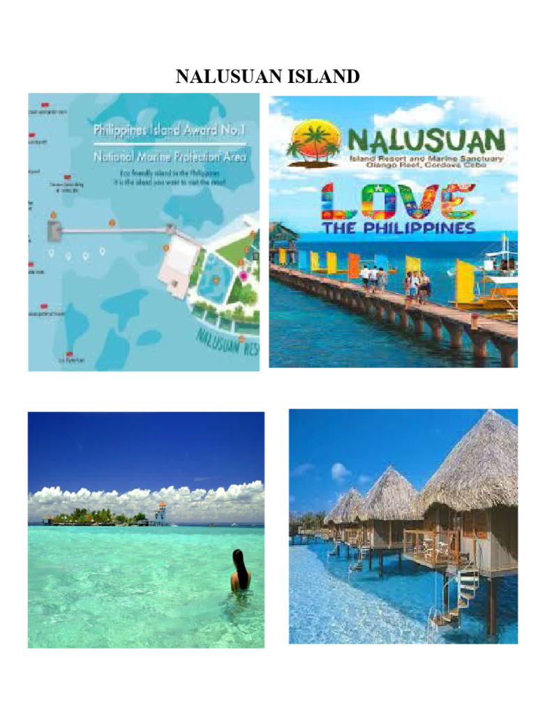 Nalusuan Island | PDF