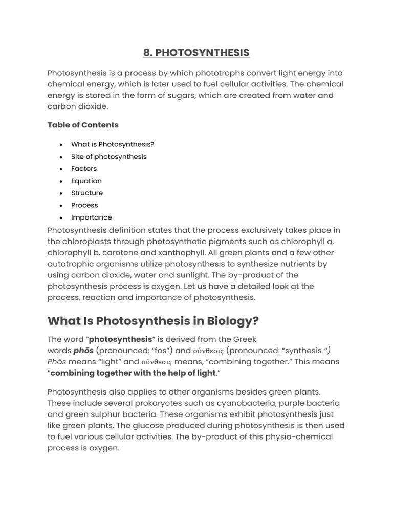 8 Photosynthesis | PDF | Photosynthesis | Leaf