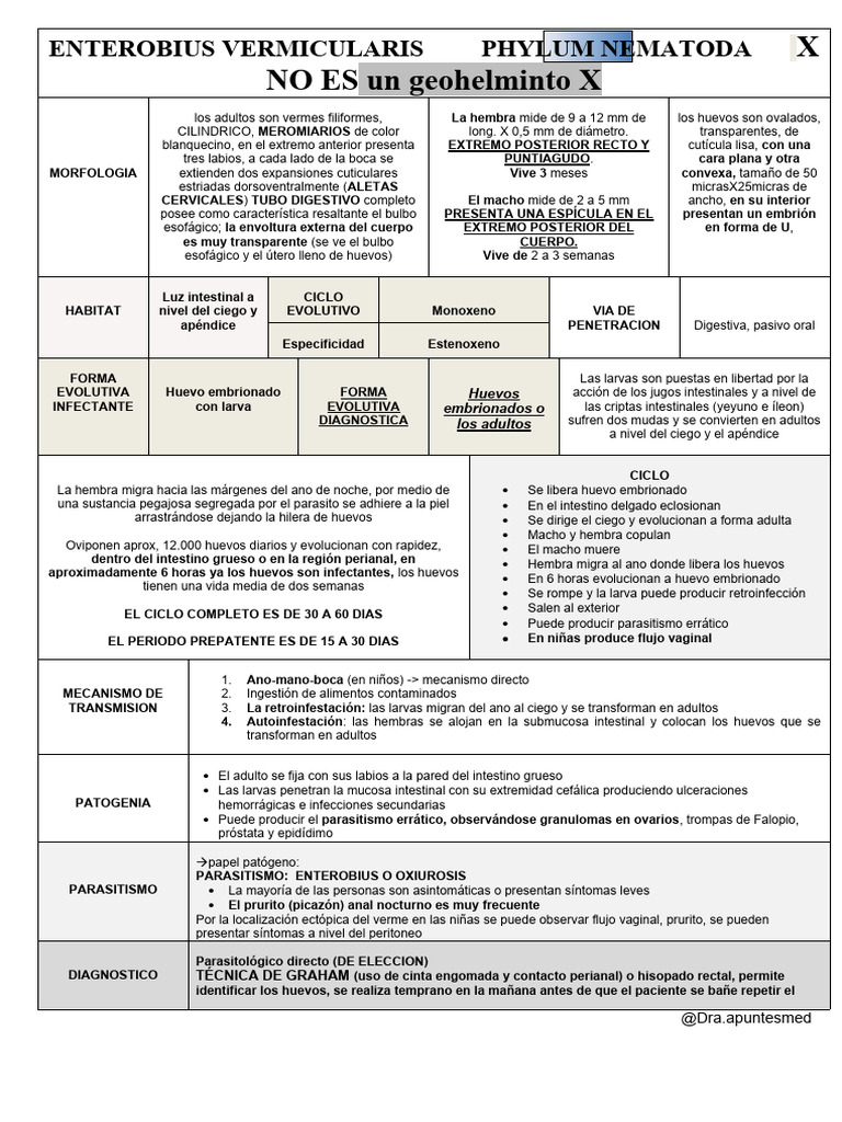 Enterobius Vermicularis | PDF | Tracto gastrointestinal ...