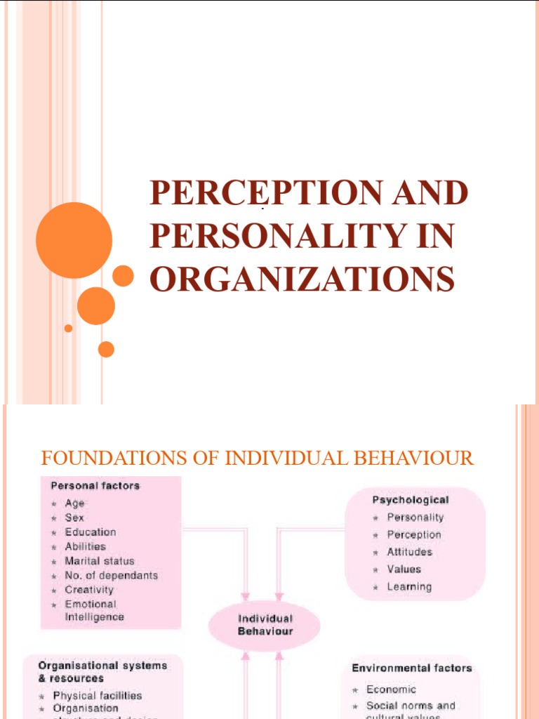 Perception Personality | PDF | Perception | Id