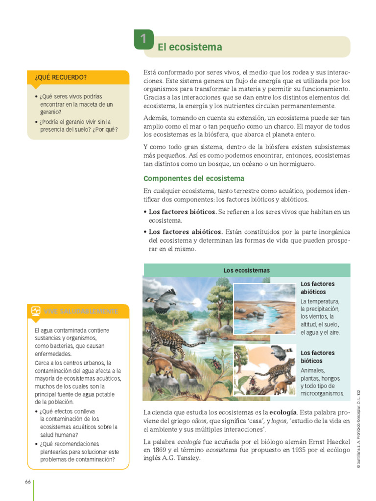 Componentes y Tipos de Ecosistemas | PDF | Ecosistema | Dióxido de carbono