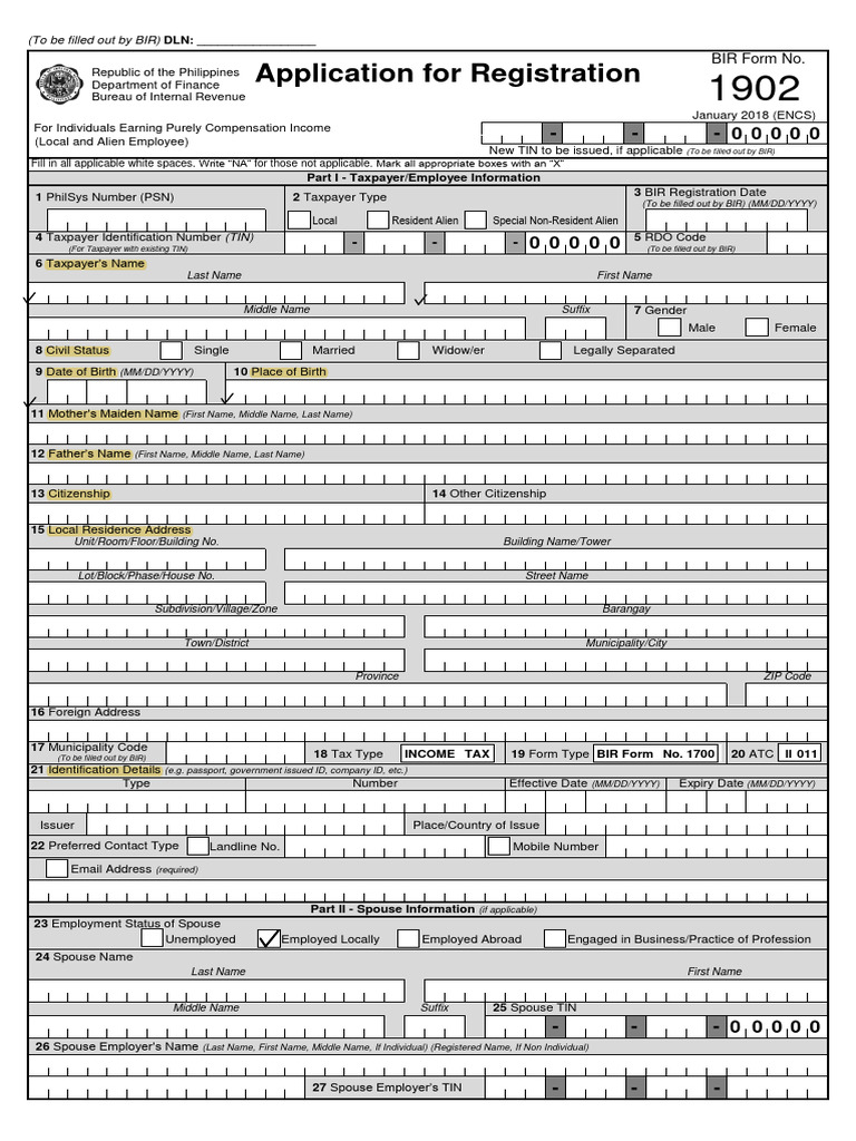 BIR Form 1902: Registration for TIN | PDF | Identity Document | Employment
