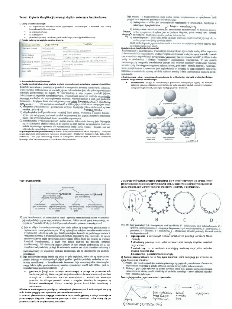 2-T Biol. Stopa Sr. | PDF
