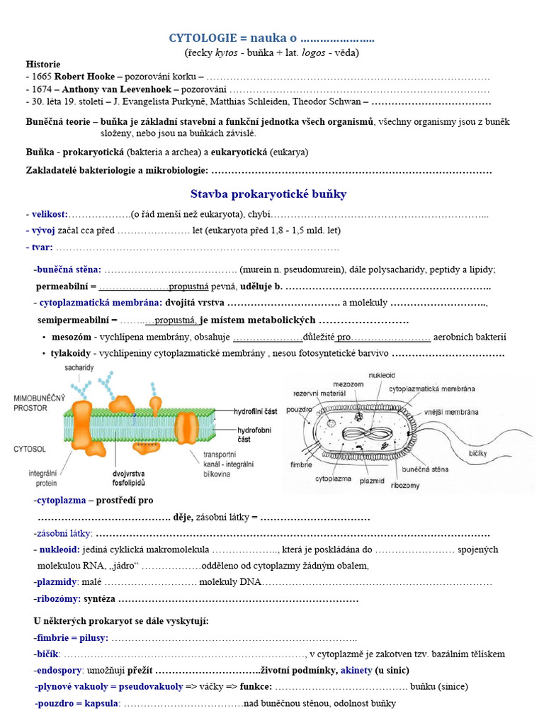 02a - PL - Prokaryotická Buňka | PDF