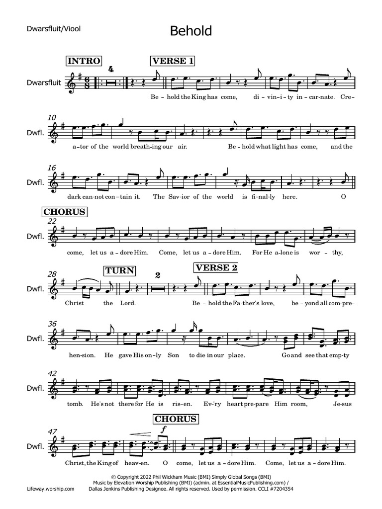 Behold Dwarsfluit | PDF | Copyright Law | Freedom Of Expression Law