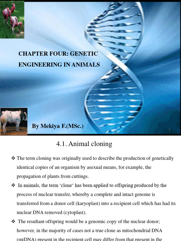 Animal Biotechnology Final | PDF | Molecular Cloning | Embryonic Stem Cell