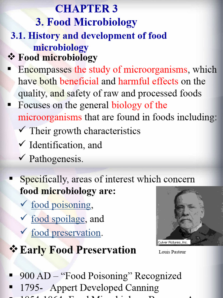3 Food | Download Free PDF | Decomposition | Microorganism