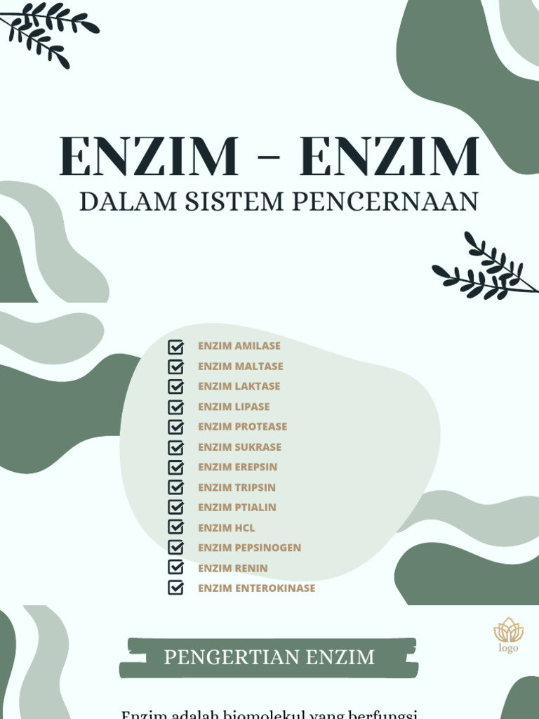 Enzim - Enzim | PDF