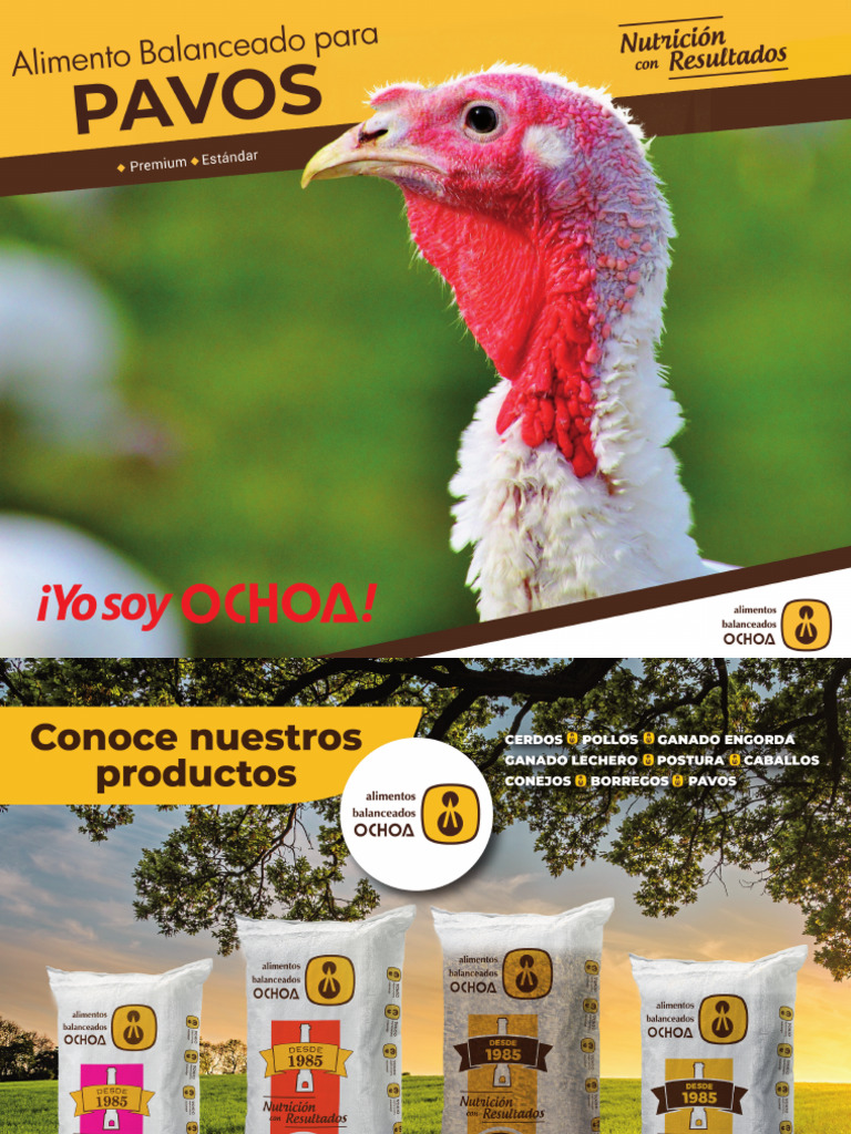 Alimento Balanceado para Pavos | PDF | Alimentos | Haba de soja