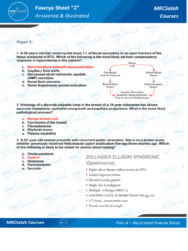 Fawzia Sheet Explain Paper2 | PDF