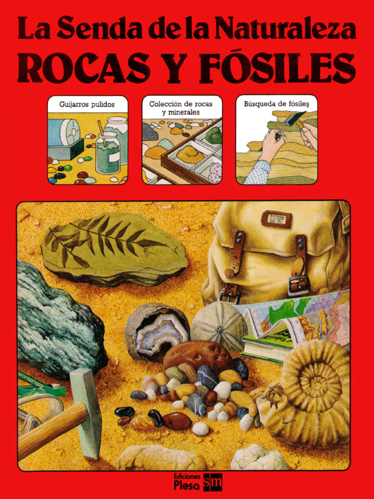 La Senda de La Naturaleza. Rocas y Fosiles - Ediciones Plesa | PDF